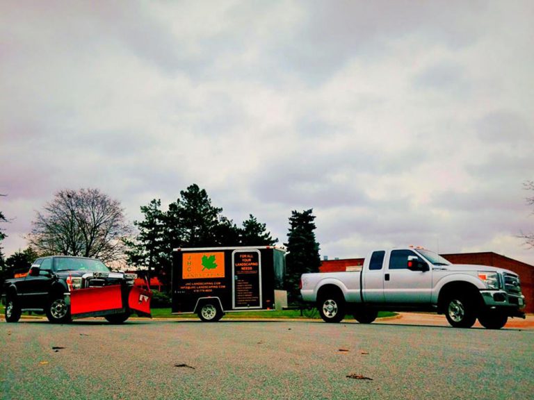 How to Uproot a Tree without Killing It | J.H.C. Landscaping Inc