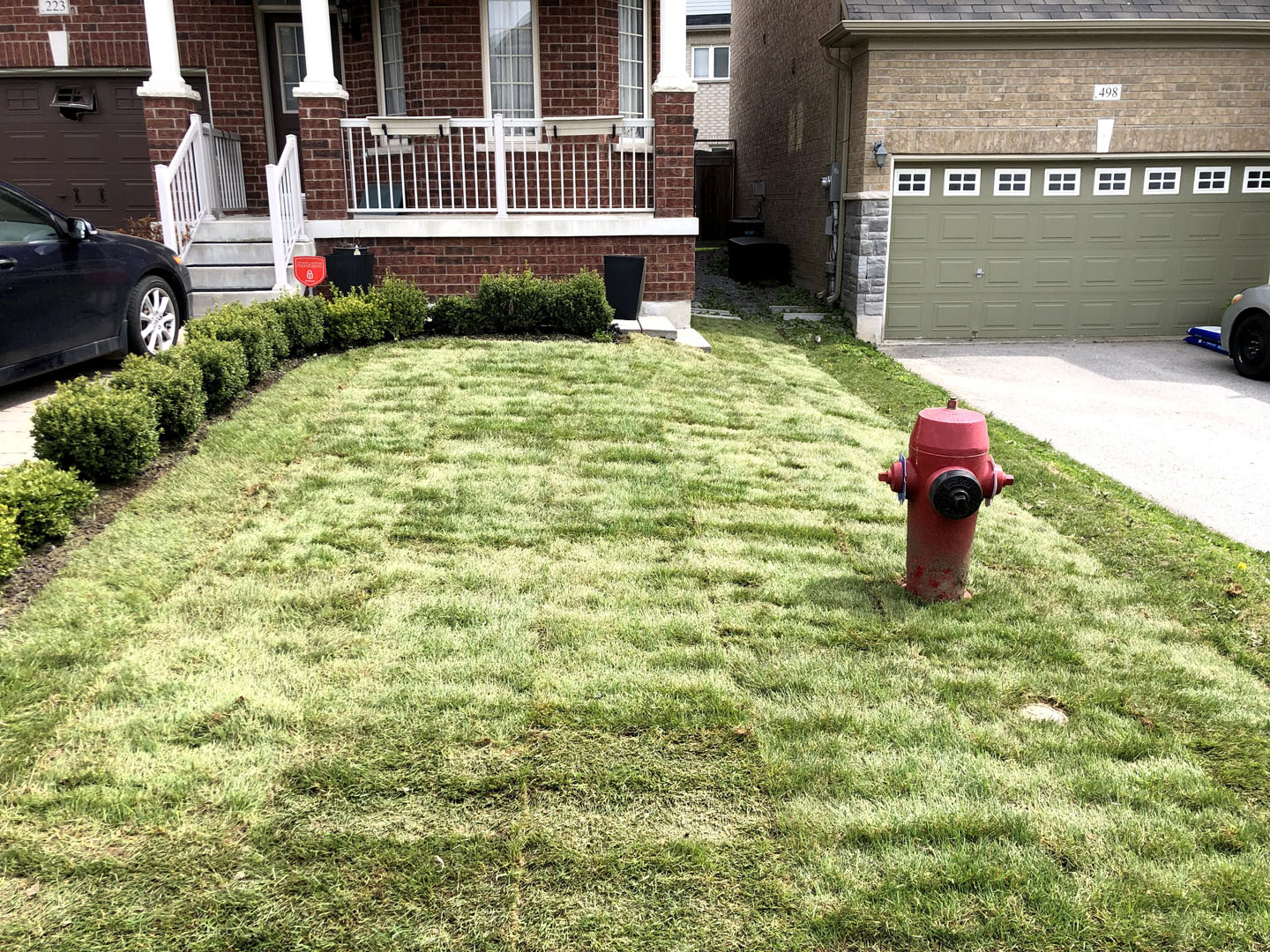 How Much Does It Cost to Sod a New Lawn | JHC Landscaping