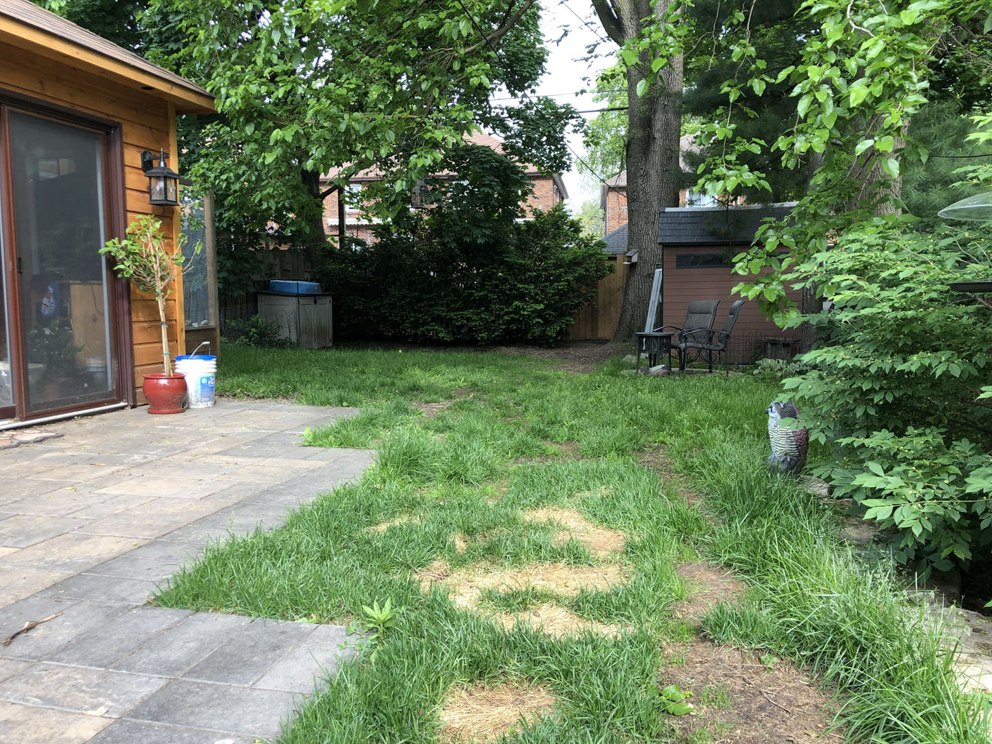 All You Need to Know About Sod vs Seed | JHC Landscaping