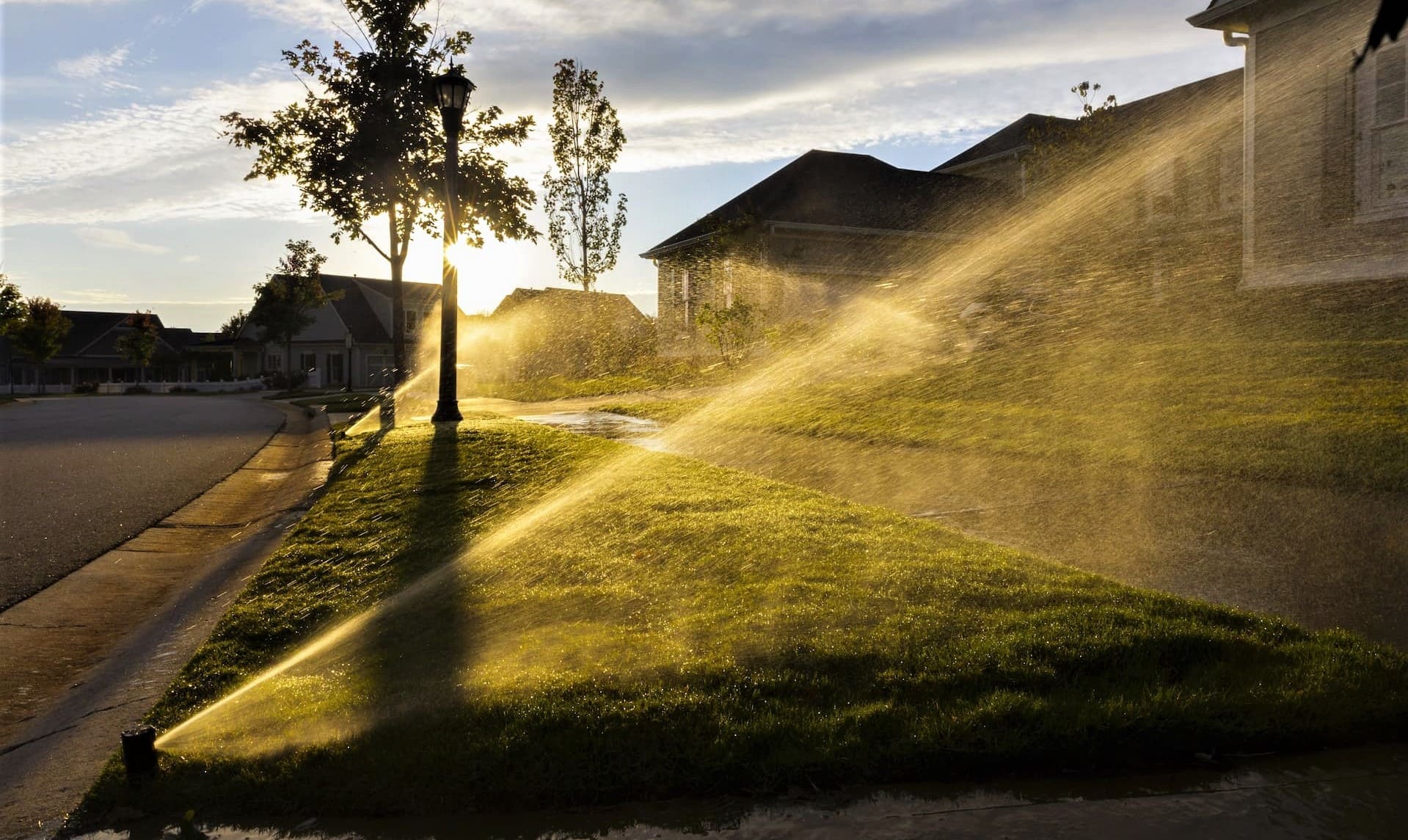 How to Install an Irrigation System: a DIY Guide