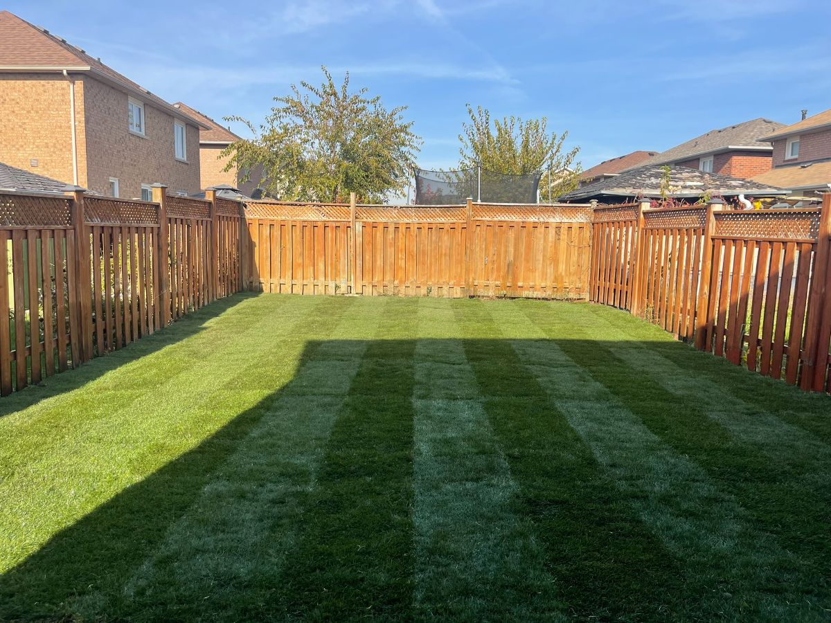 Sodding Whitby: Landscaping & Lawn Care - JHC Landscaping